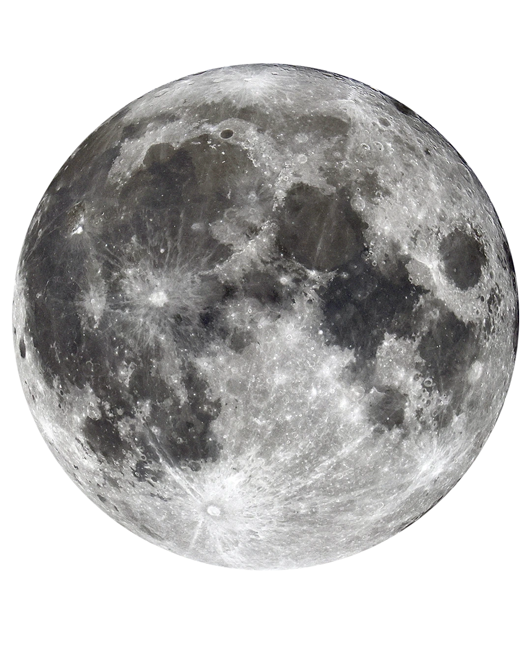 Choros.io | AI-Powered Website Builder in Under 30 Seconds